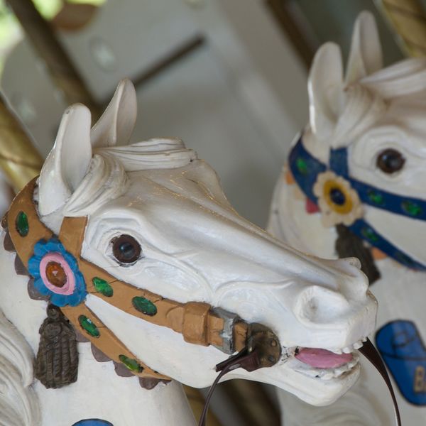 National Carousel Association - Canberra Carousel - Heyn Jumper Head Detail